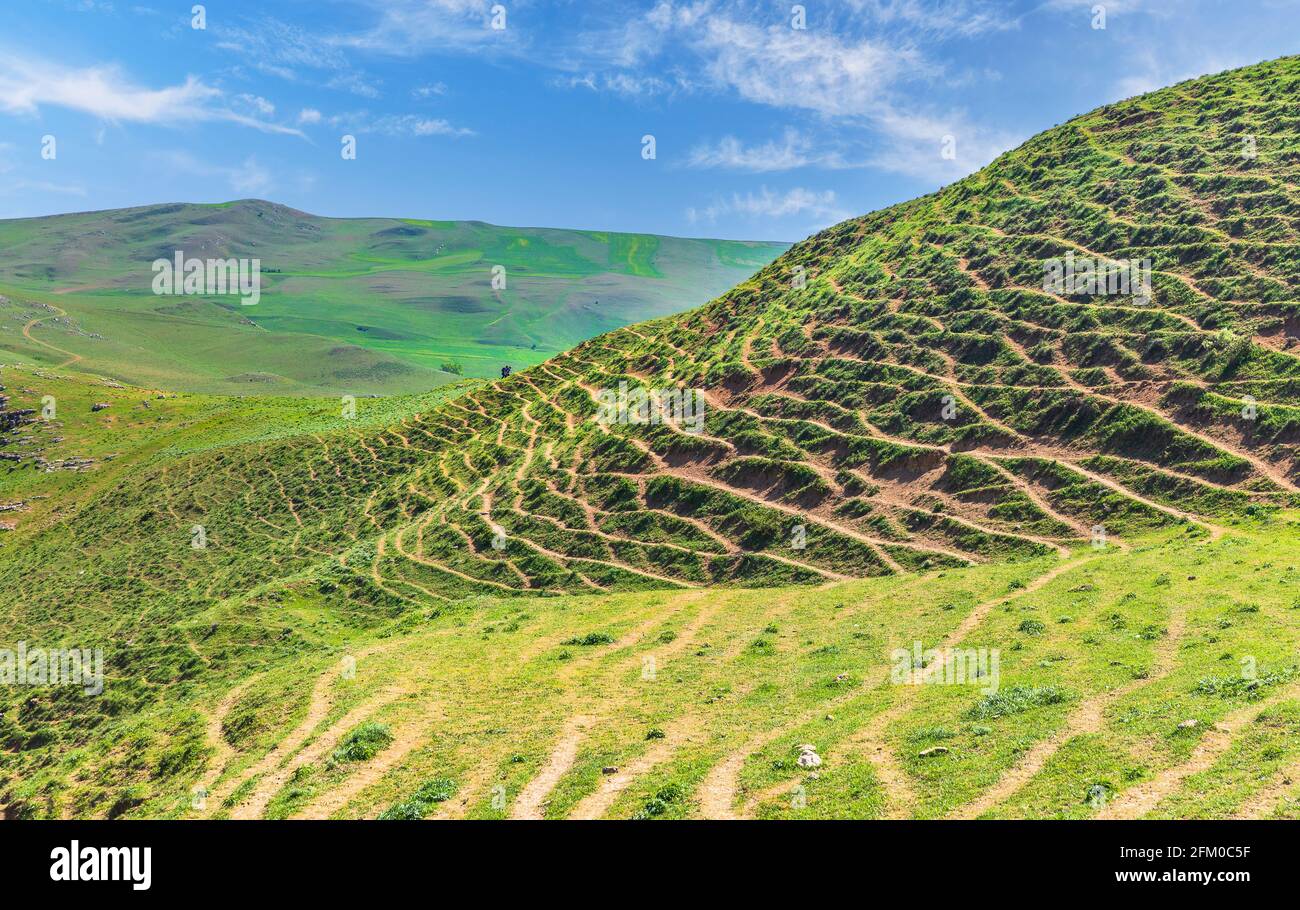 Animal paths field hi-res stock photography and images - Alamy