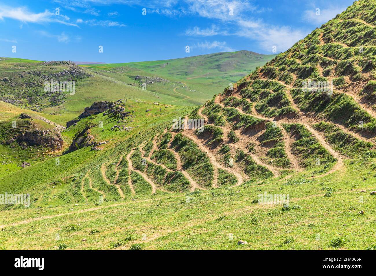 Trodden paths hi-res stock photography and images - Alamy