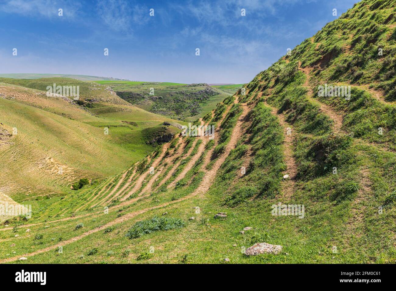 Paths trodden by animals on green hills Stock Photo - Alamy