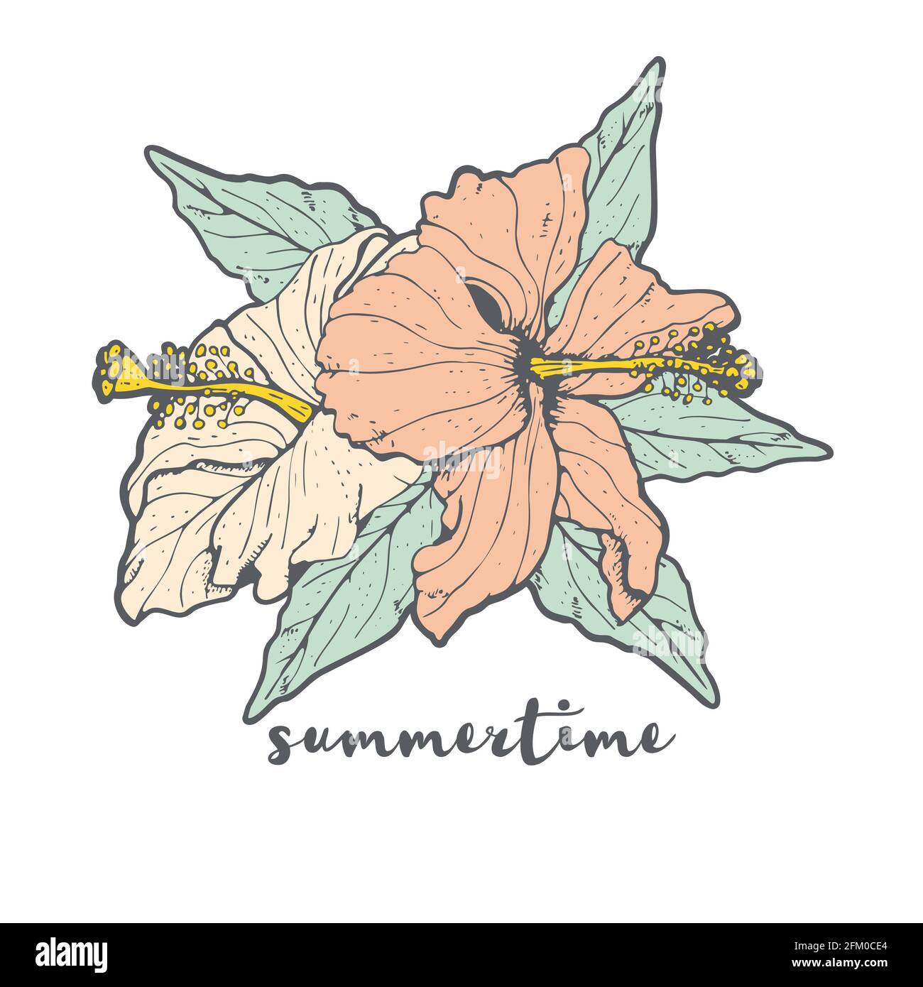Vintage Line art hibiscus flower arrangement with gray outline and text ...