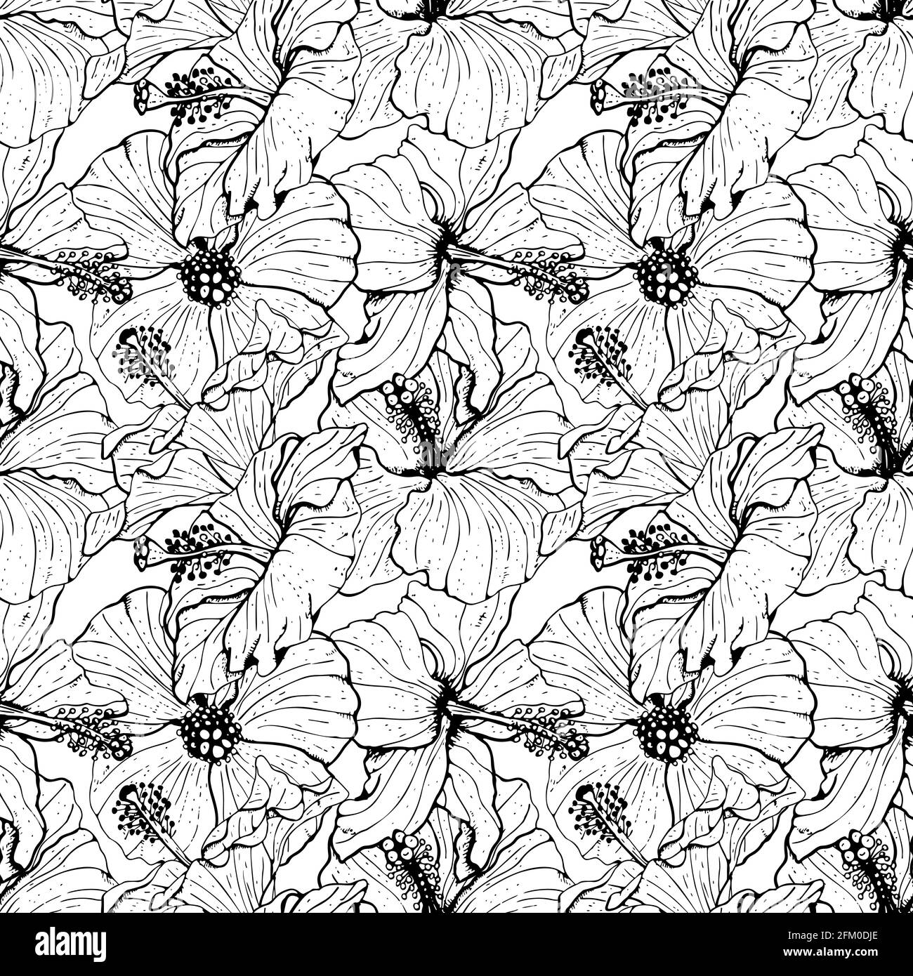 Seamless pattern with line art monochrome hibiscus flowers, buds and ...