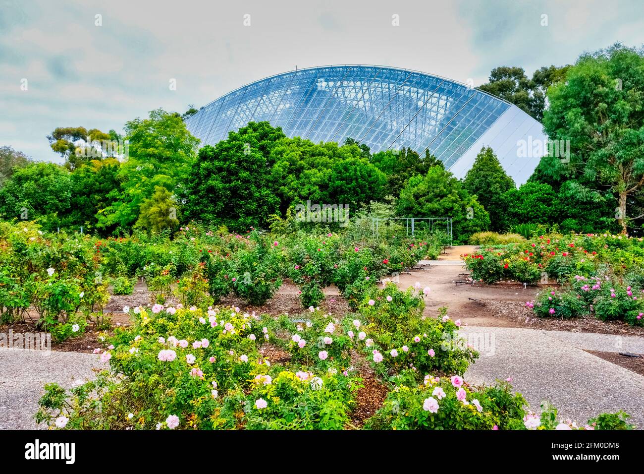 The International Rose Garden and Conservatory at the Botanic Gardens ...