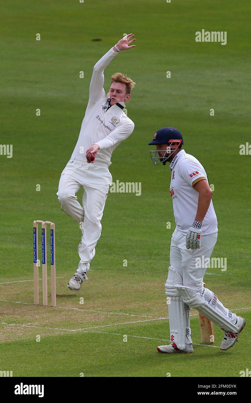 Bulpitt hi-res stock photography and images - Alamy