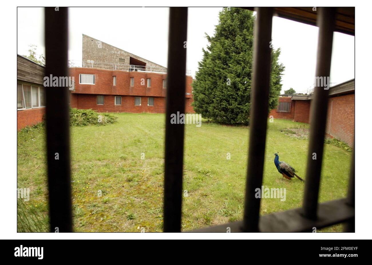 Feltham Young Offenders institute....pic David Sandison 13/8/2004 Stock ...