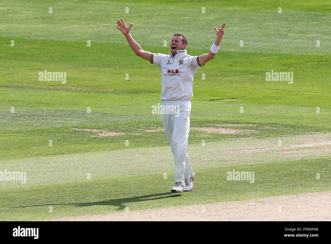 Peter Siddle of Essex celebrates taking the wicket of Joe Weatherley ...