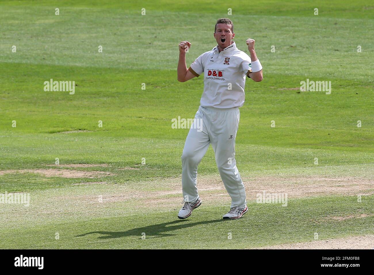 Peter Siddle of Essex celebrates taking the wicket of Joe Weatherley ...