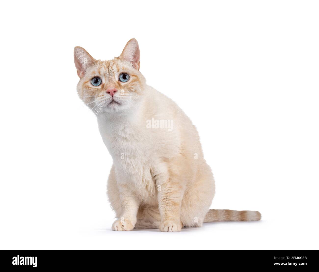 Gentle posture Cut Out Stock Images & Pictures - Alamy