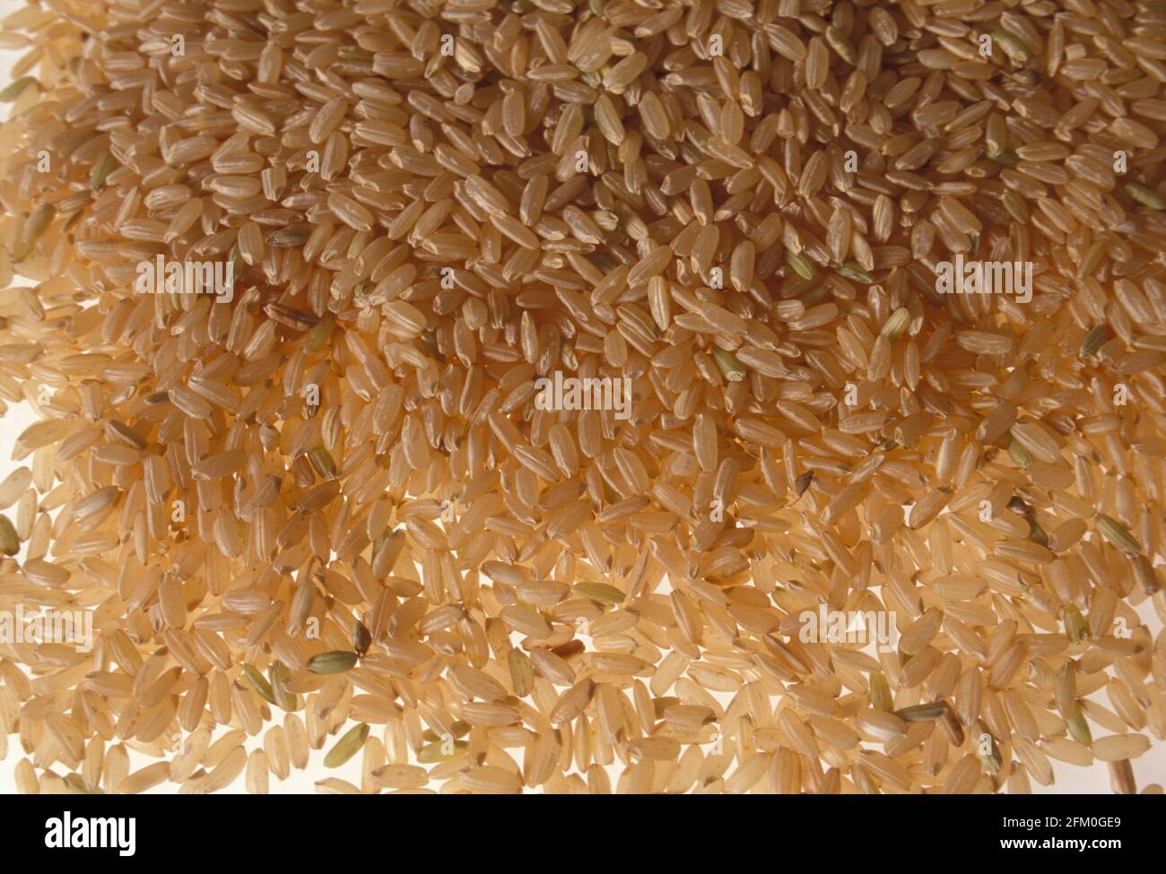 Rice, legumes, Italian food Stock Photo - Alamy