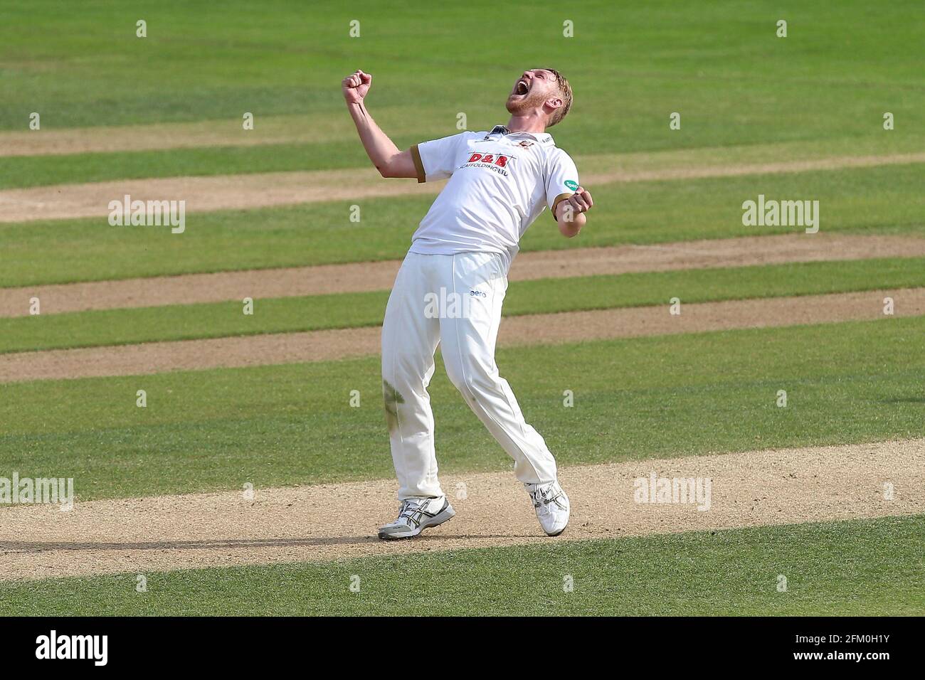Jamie Porter of Essex celebrates taking the wicket of Jordan Clark ...
