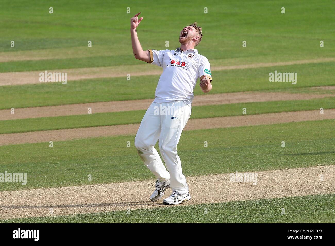 Jamie Porter of Essex celebrates taking the wicket of Jordan Clark ...