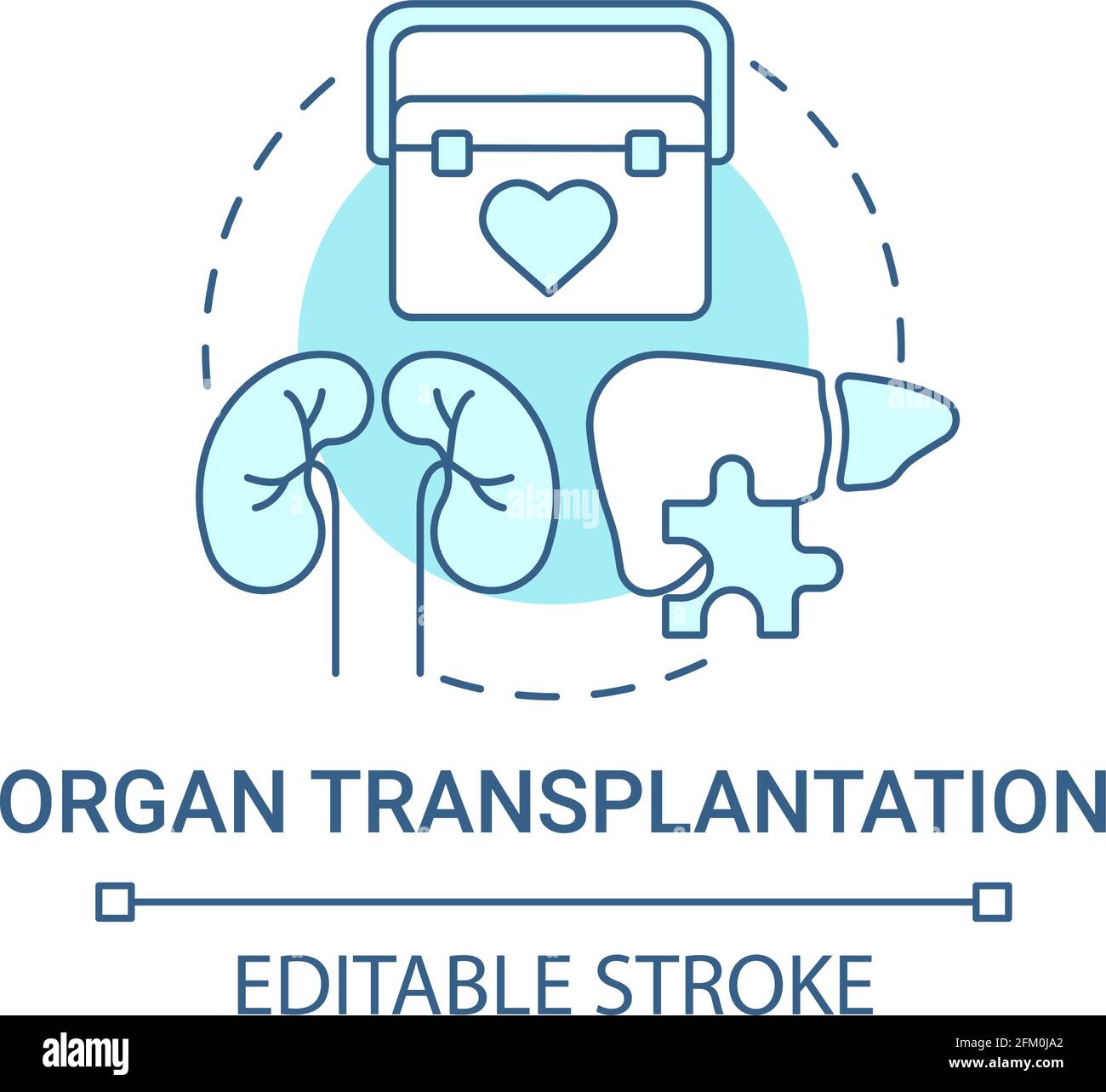 Transplantation of kidney Stock Vector Images - Alamy