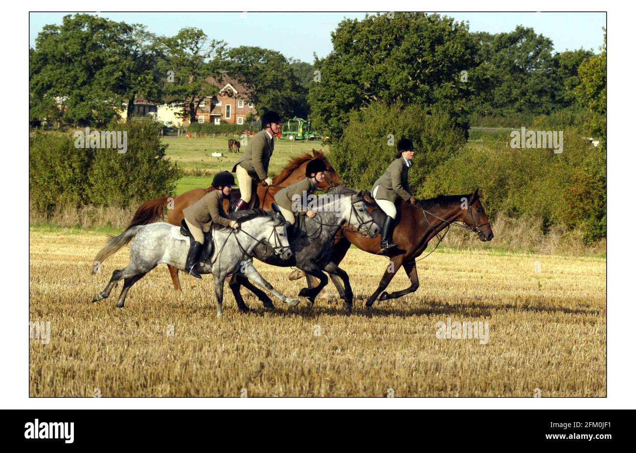 Tabitha worsley Cut Out Stock Images & Pictures - Alamy