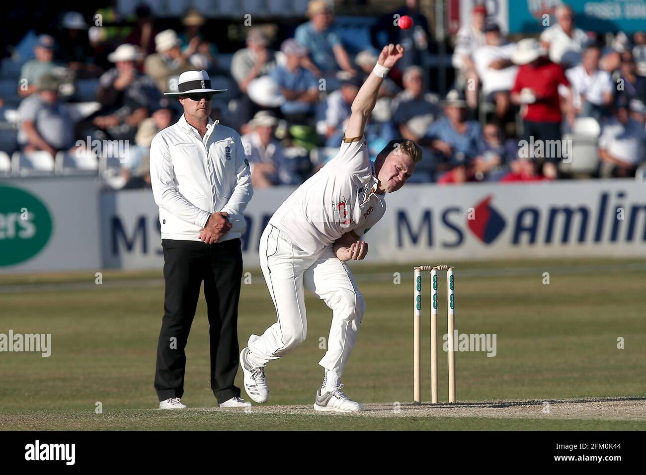 Sam Cook in bowling action for Essex during Essex CCC vs Somerset CCC ...