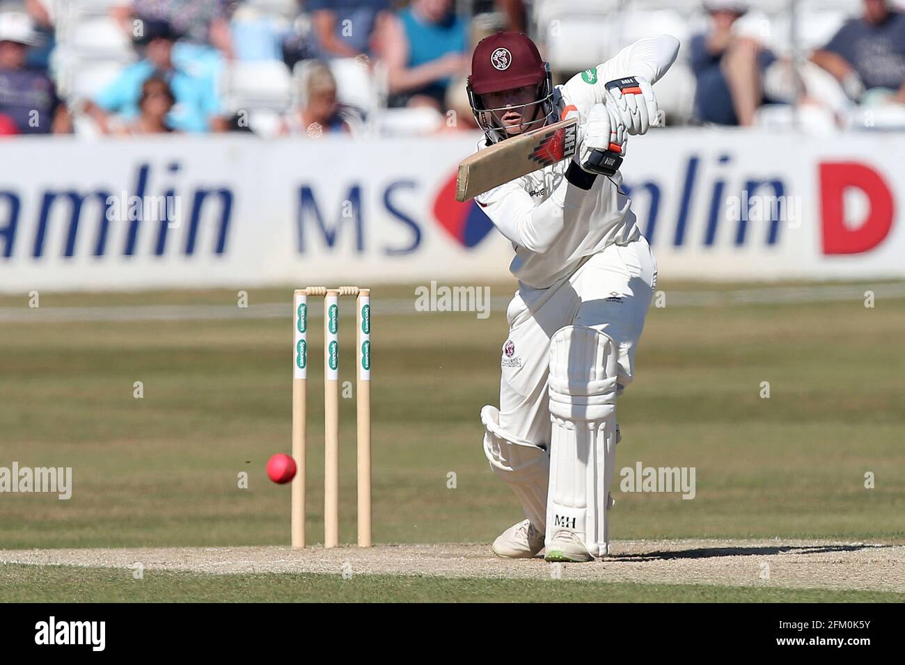 Tom Abell in batting action for Somerset during Essex CCC vs Somerset ...
