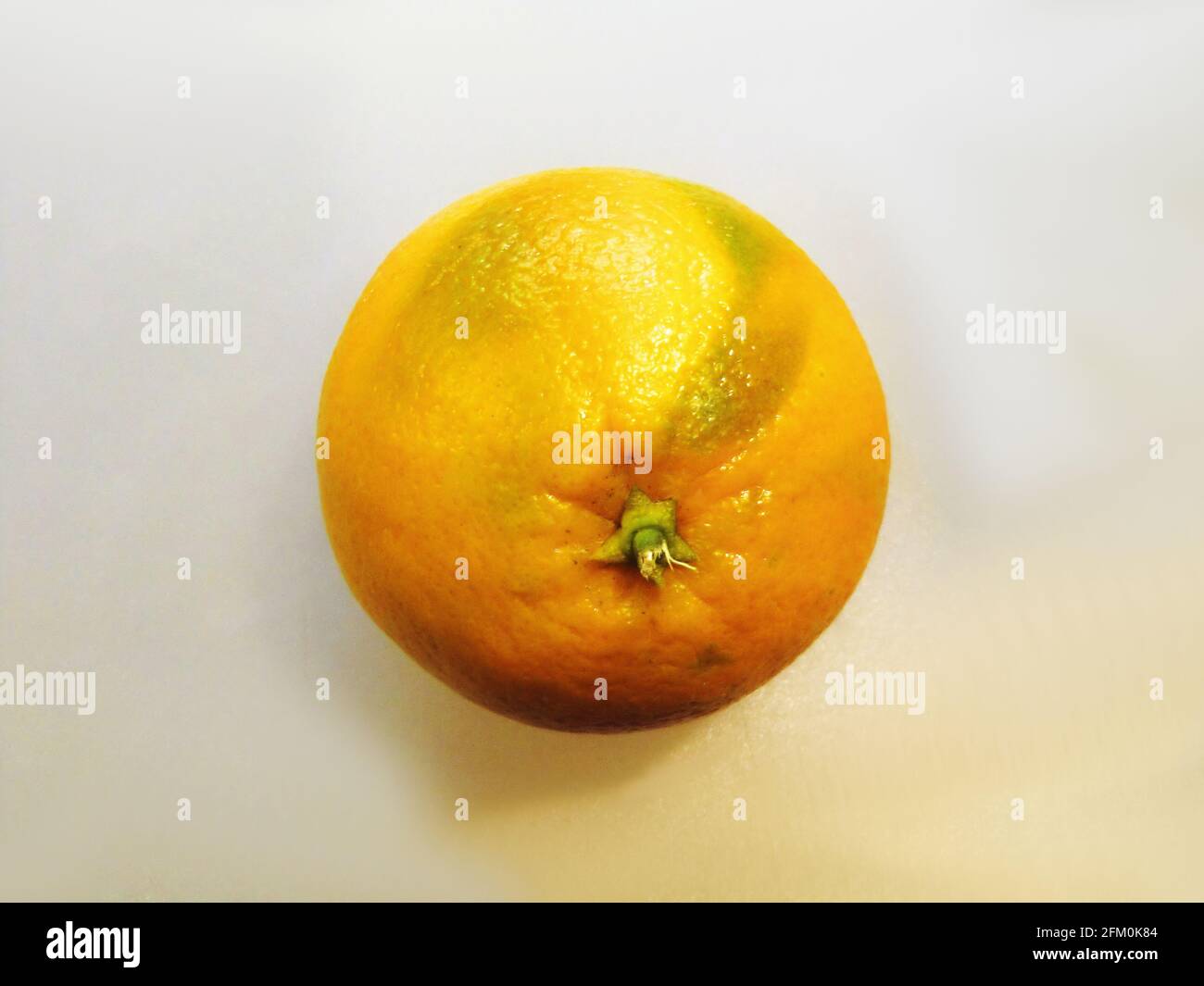 One single Orange on a white top Stock Photo - Alamy