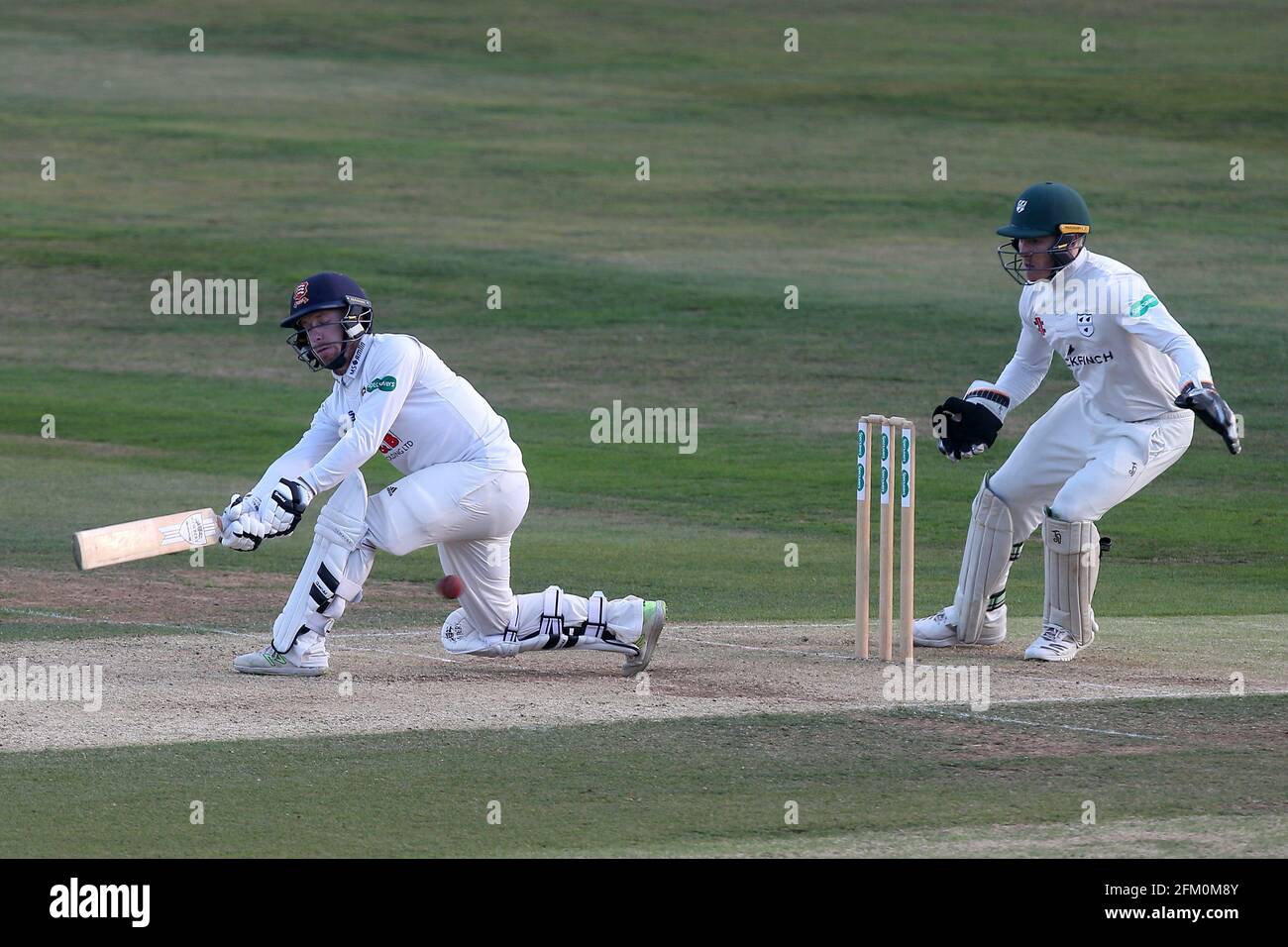 Adam Wheater in batting action for Essex during Essex CCC vs ...