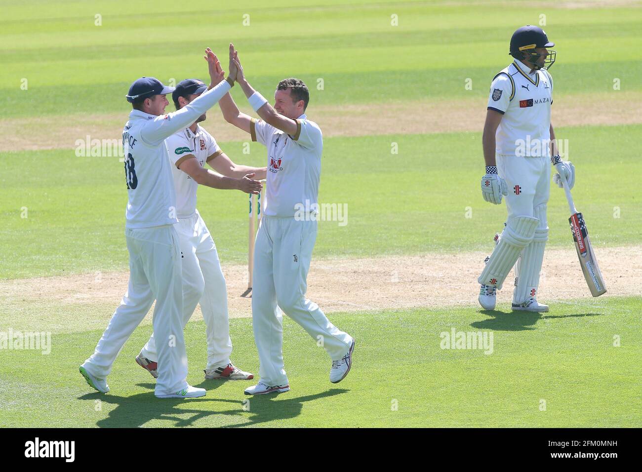 Peter Siddle of Essex celebrates taking the wicket of Jack Leaning ...