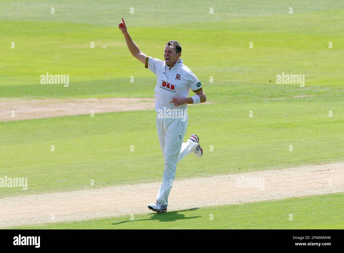 Peter Siddle of Essex celebrates taking the wicket of Jack Brooks ...