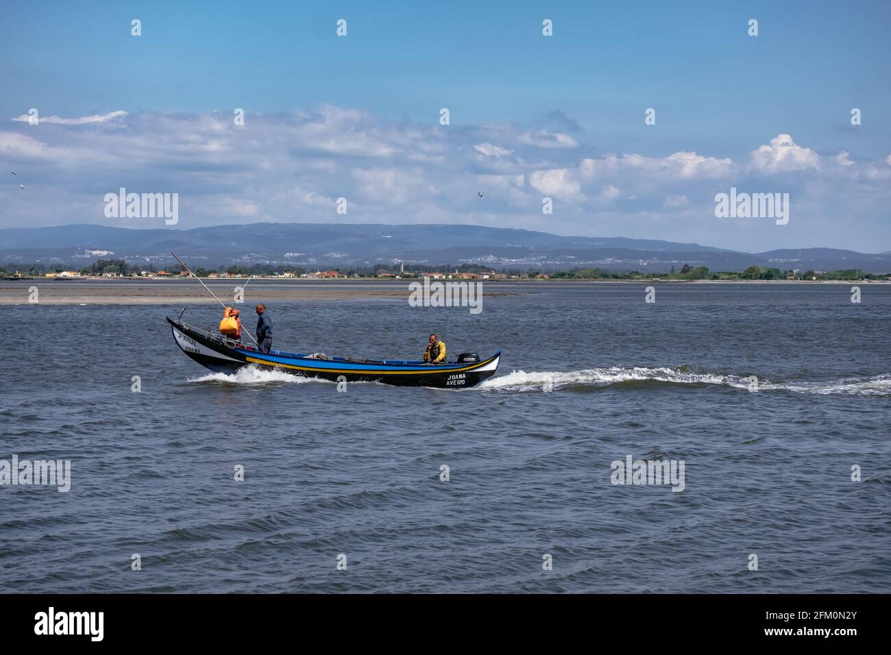 Traditional "Moliceiro" Boats used by Fisherman in an harbour - Ria de ...