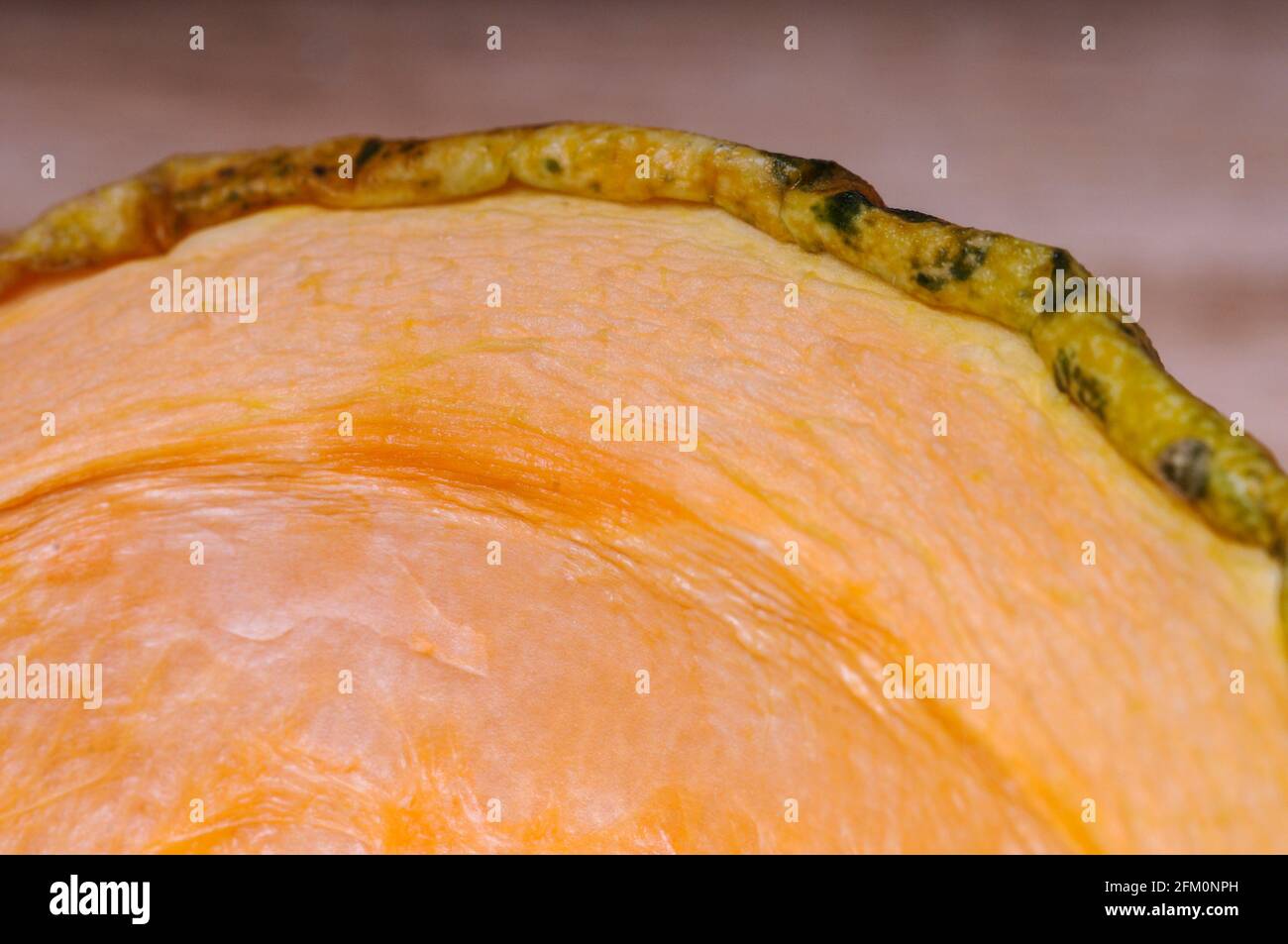 Cross section pumpkin hi-res stock photography and images - Alamy