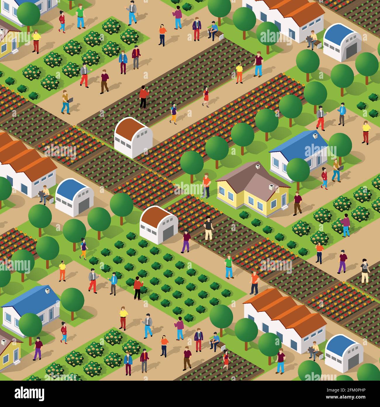 Rural isometric nature ecological farm with beds Stock Vector Image ...