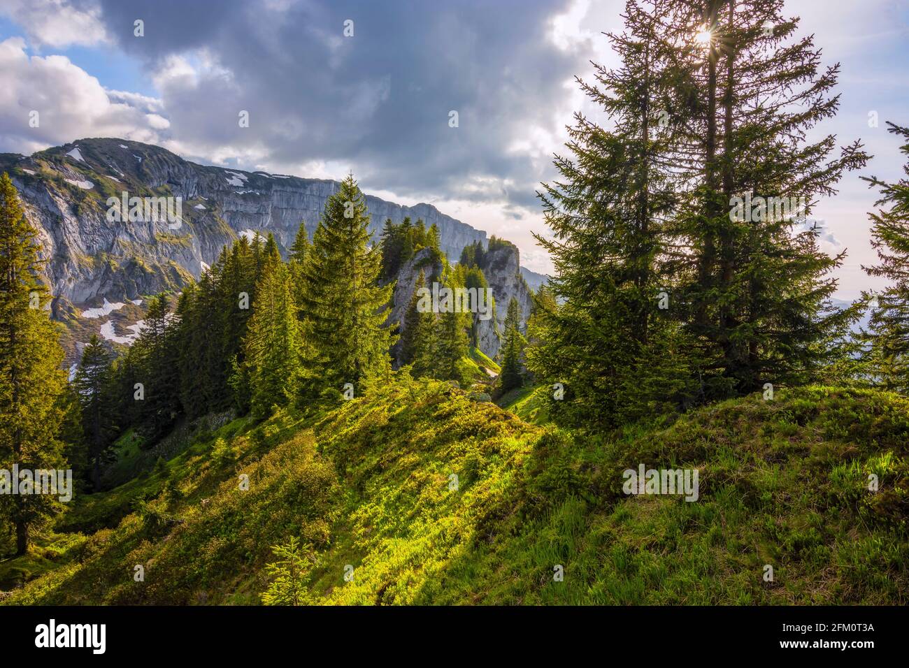 Summer scenery hi-res stock photography and images - Alamy