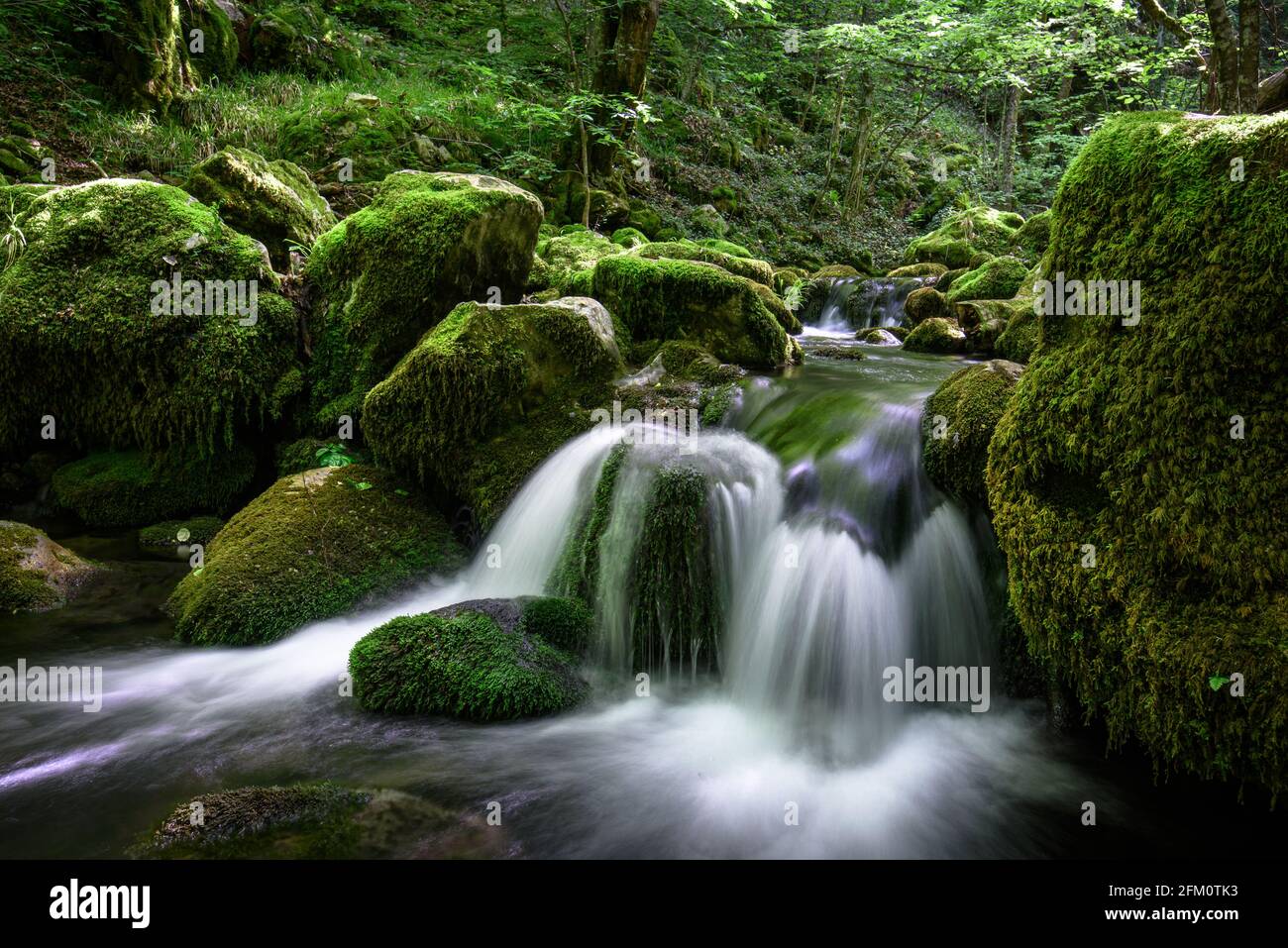 Water streaming along cascade down a Strandzha mountain forest river ...
