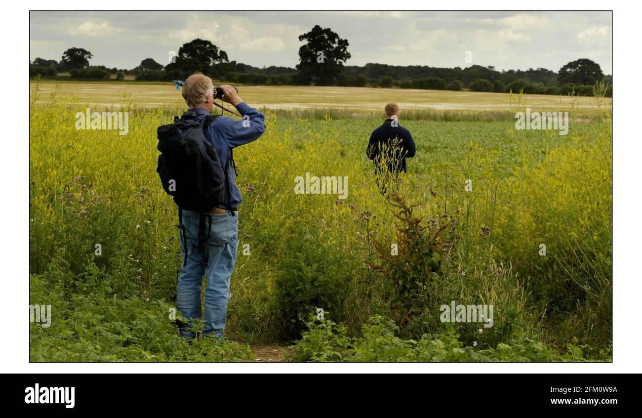 Tim stone Cut Out Stock Images & Pictures - Alamy