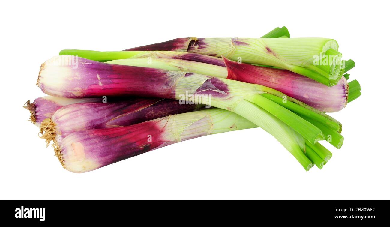 Group of fresh red scallions isolated on a white background Stock Photo ...