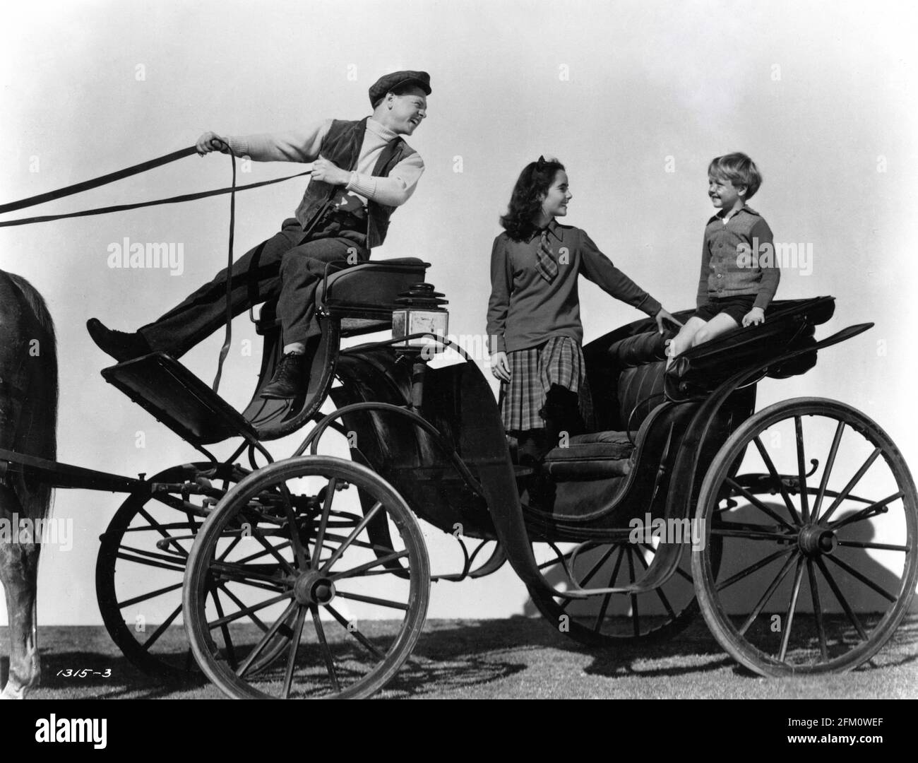 MICKEY ROONEY ELIZABETH TAYLOR and JACKIE ''BUTCH'' JENKINS publicity ...