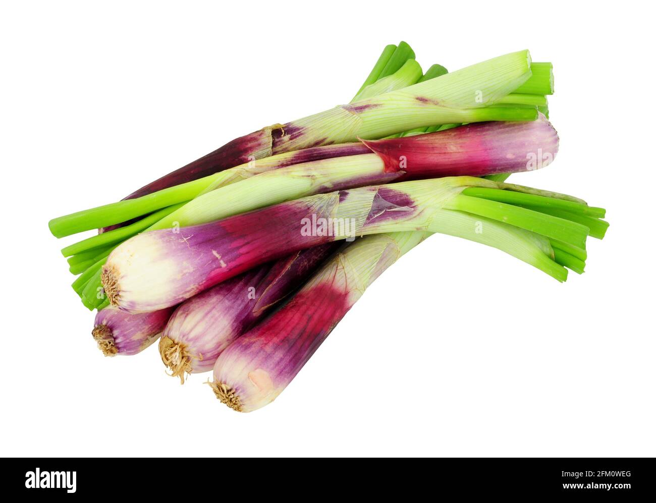 Group of fresh red scallions isolated on a white background Stock Photo ...