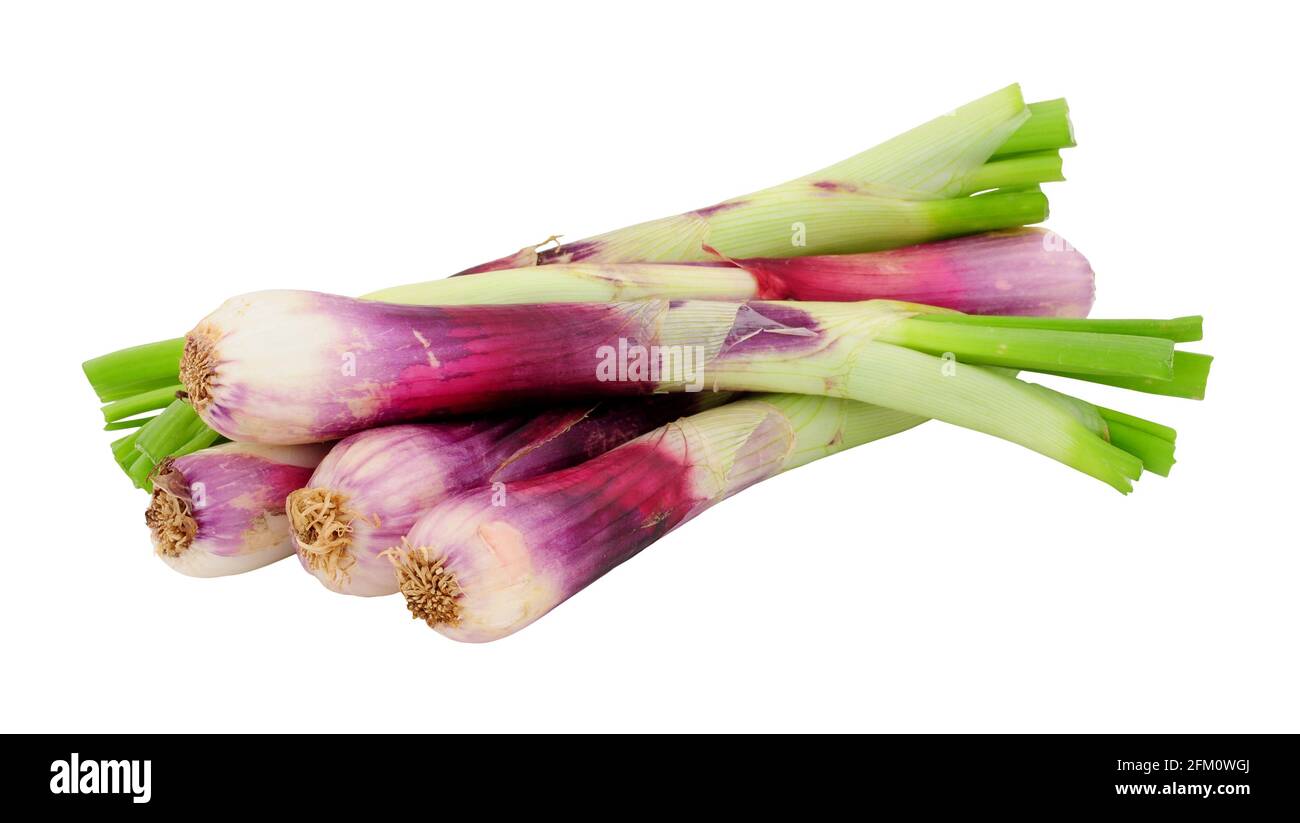Red scallions hi-res stock photography and images - Alamy