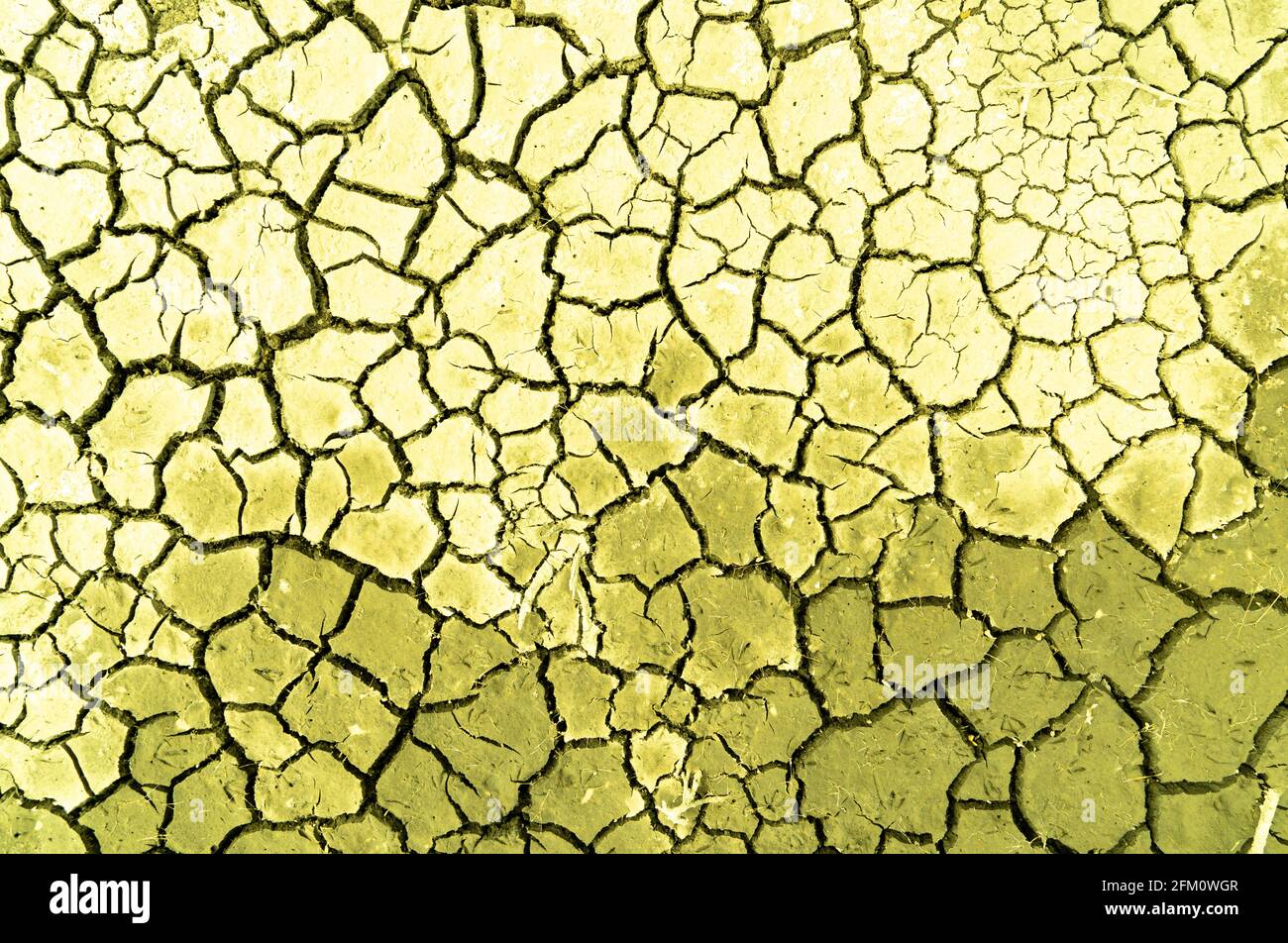 Mudflat cracked desert barren surface for natural background, layer, wallpaper, photo effect ...