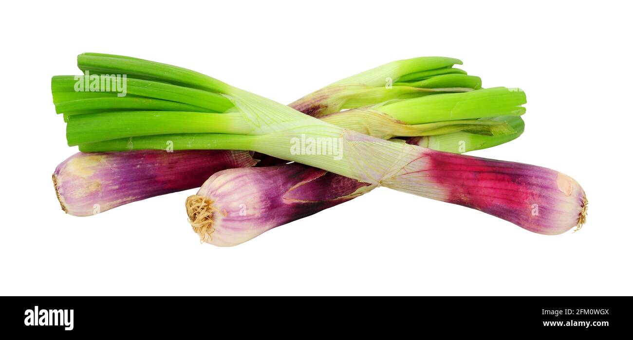 Group of fresh red scallions isolated on a white background Stock Photo ...