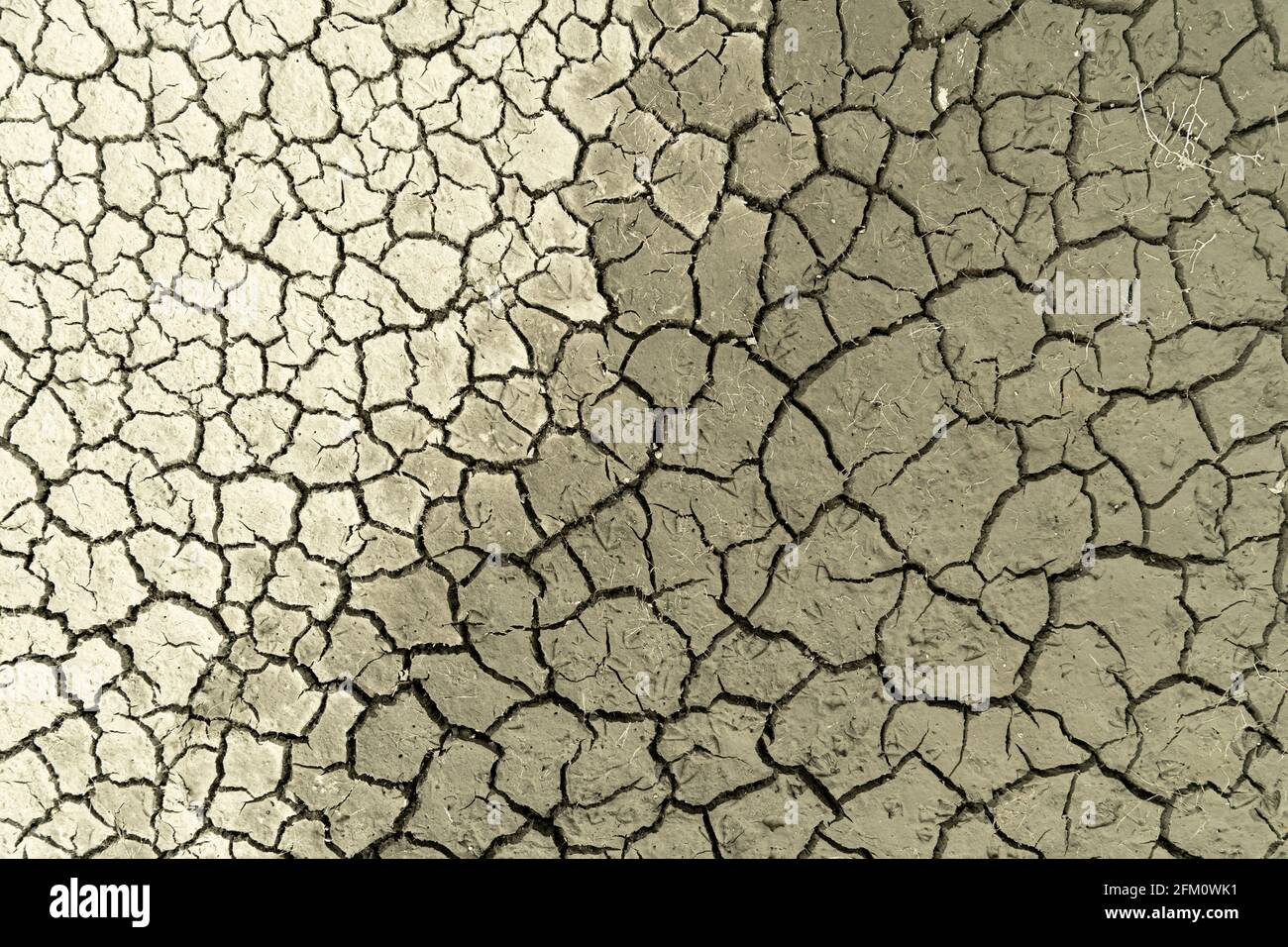 Mudflat cracked desert barren surface for natural background, layer, wallpaper, photo effect ...