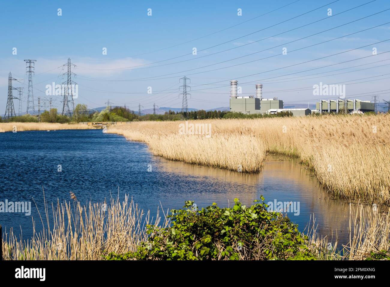 A pool and water reeds on Caldicot Level at Newport Wetlands National ...