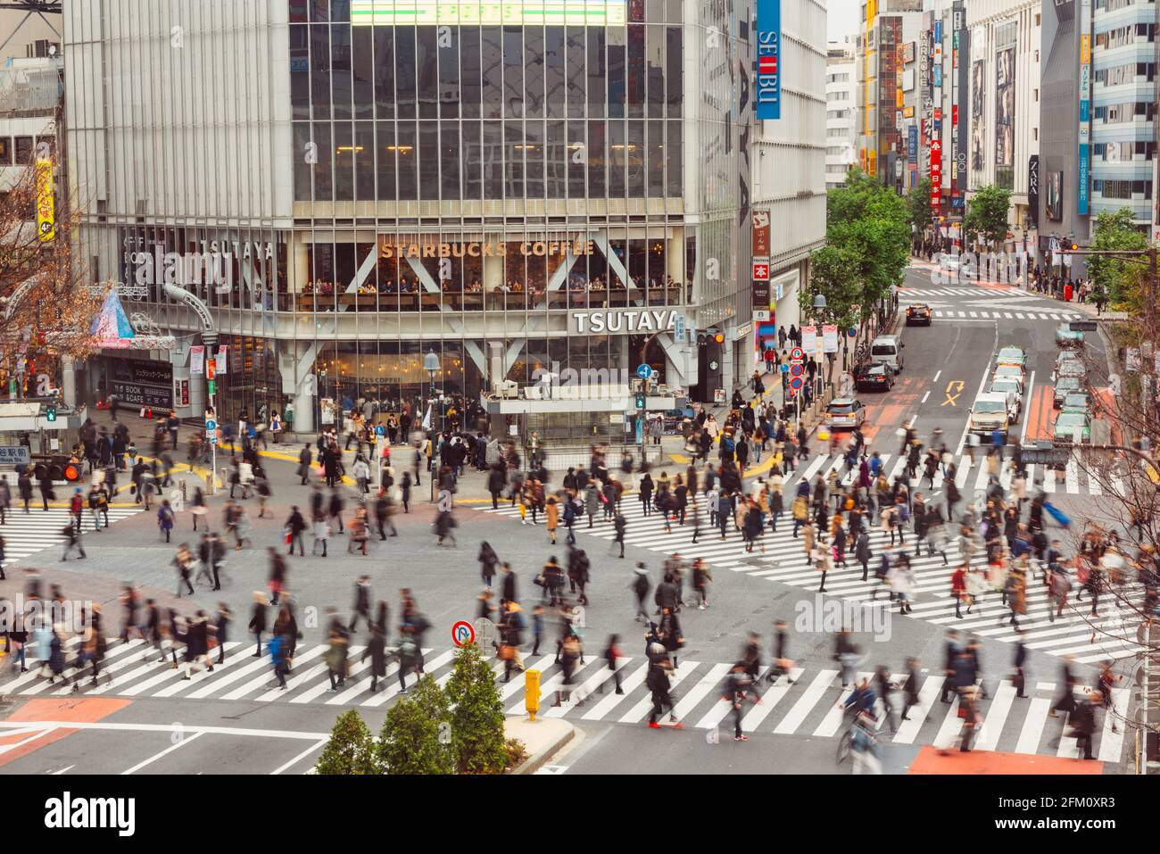 Tokyo, Japan - January 6, 2016: Aerial view of Shibuya Crossing Shibuya Tokyo Japan Stock Photo ...