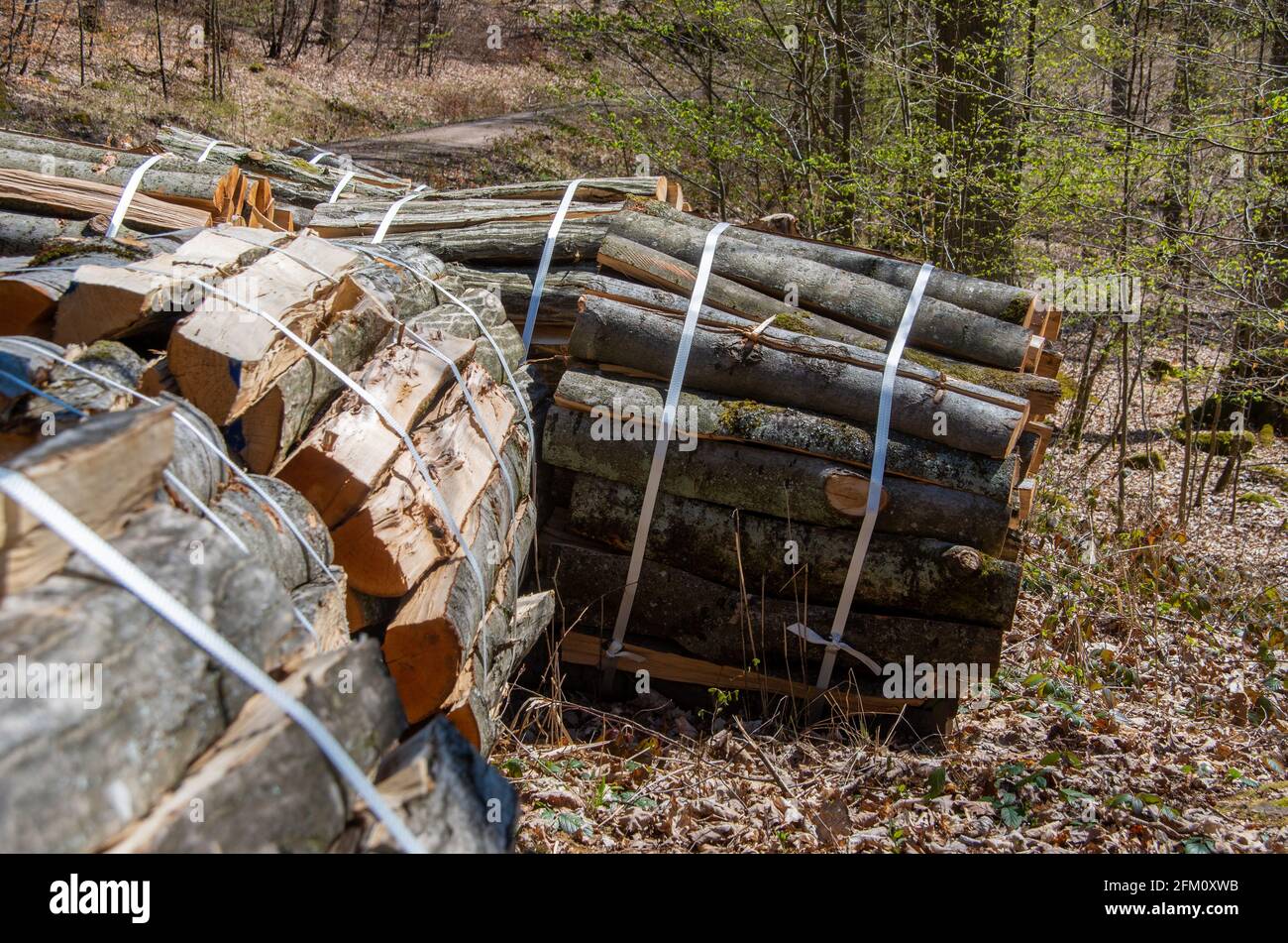 Firewood collection hi-res stock photography and images - Alamy