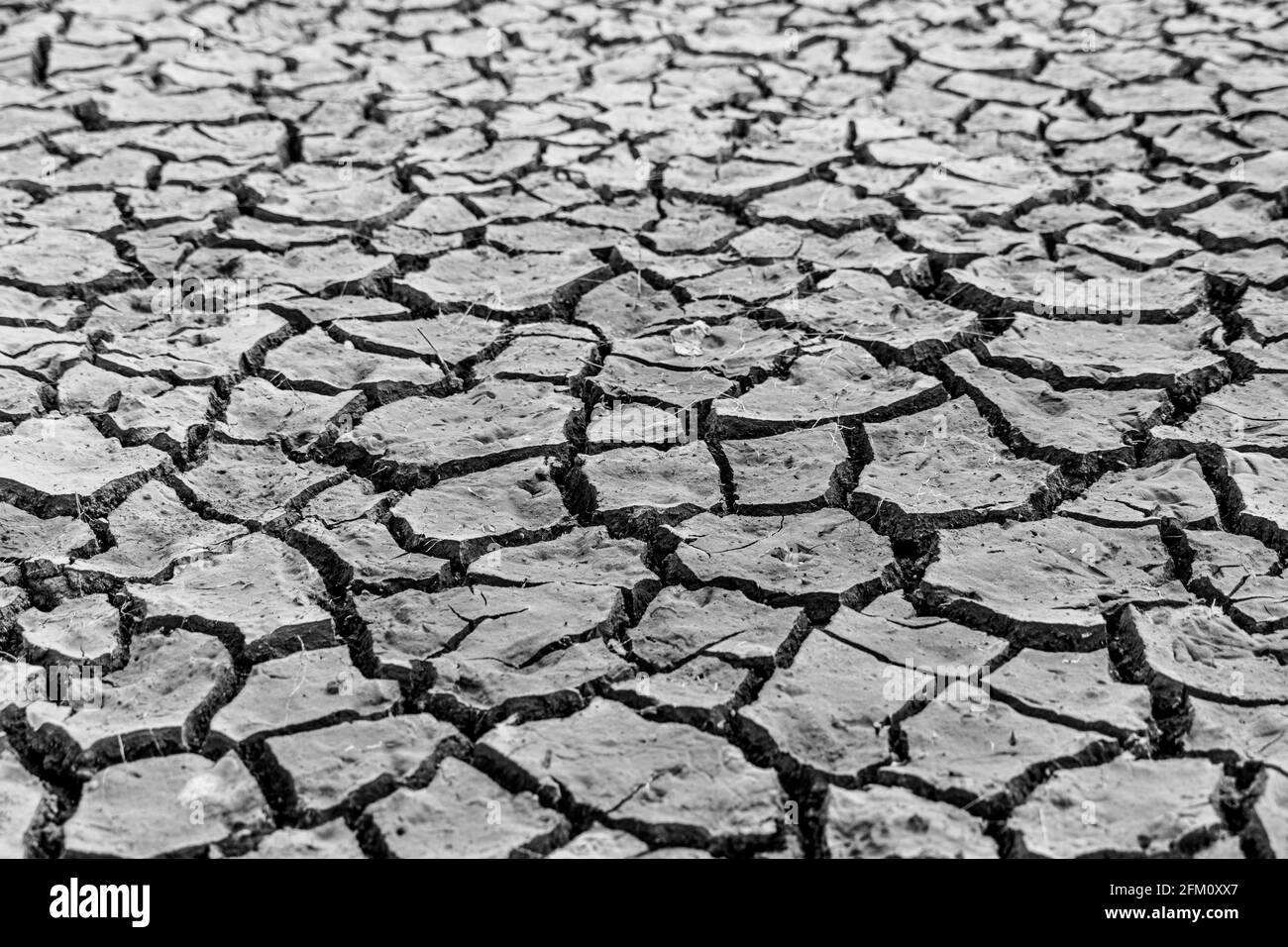 Mudflat cracked desert barren surface for natural background, layer, wallpaper, photo effect ...