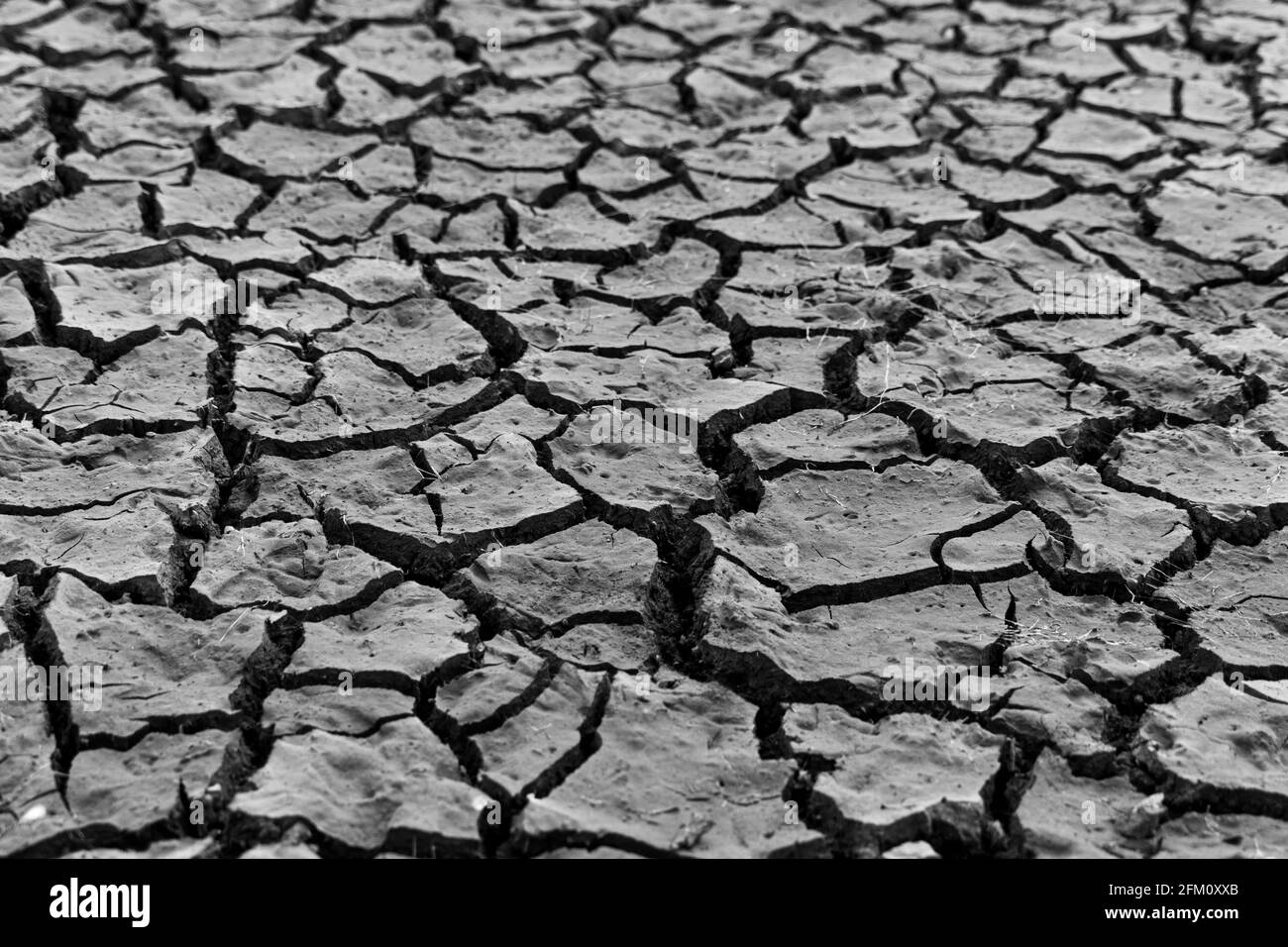 Mudflat cracked desert barren surface for natural background, layer ...