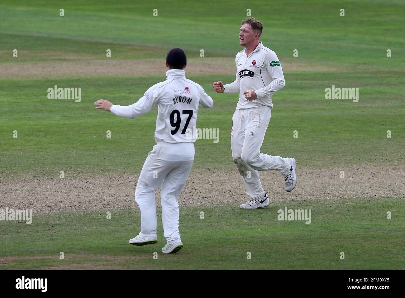 Dominic Bess of Somerset celebrates taking the wicket of Simon Harmer ...