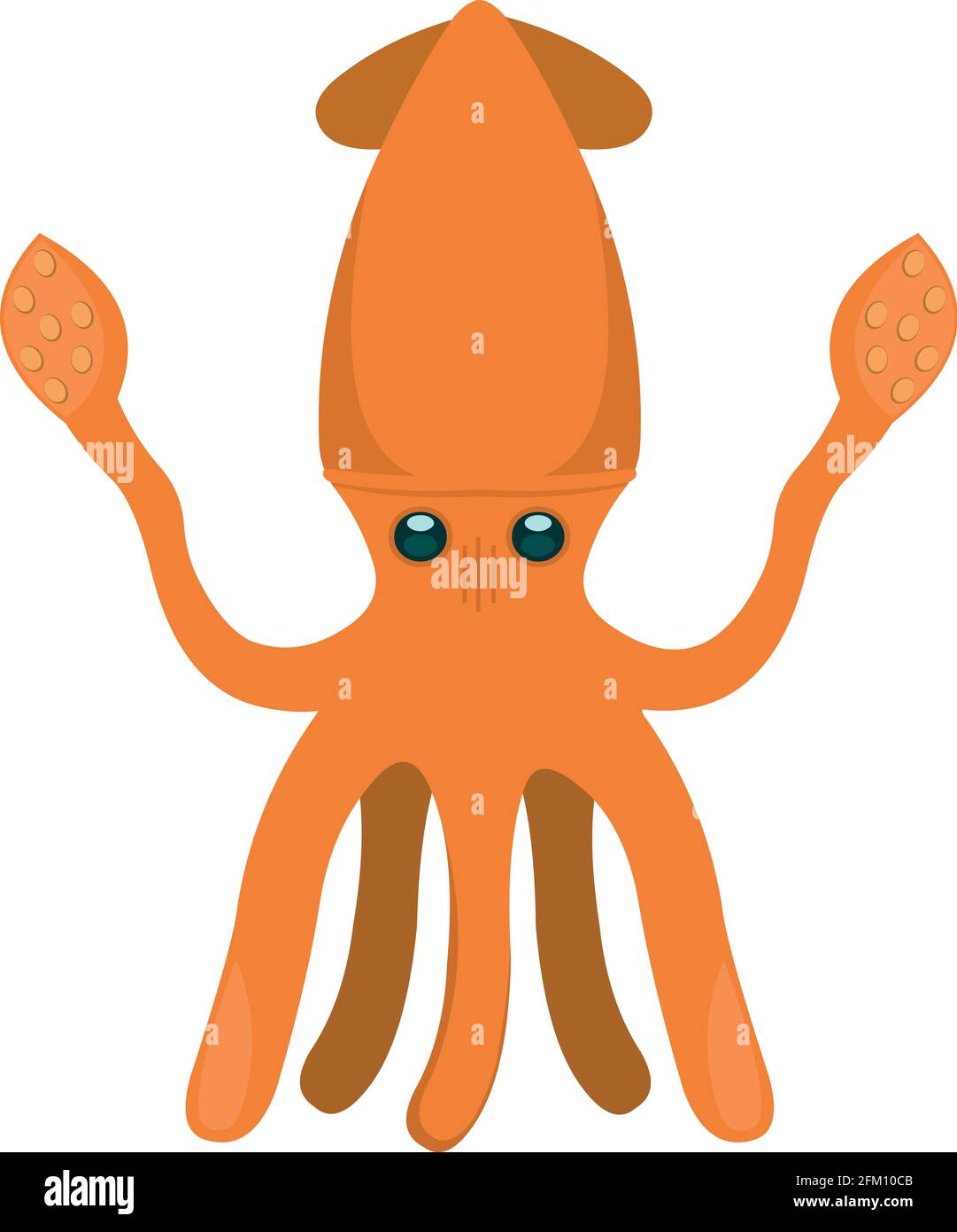 Cartoon squid hi-res stock photography and images - Alamy