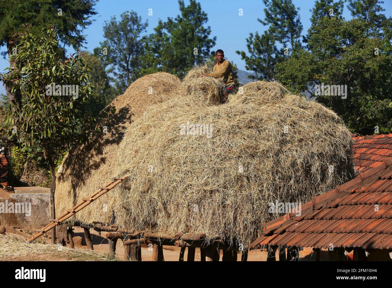 Madagada village hi-res stock photography and images - Alamy
