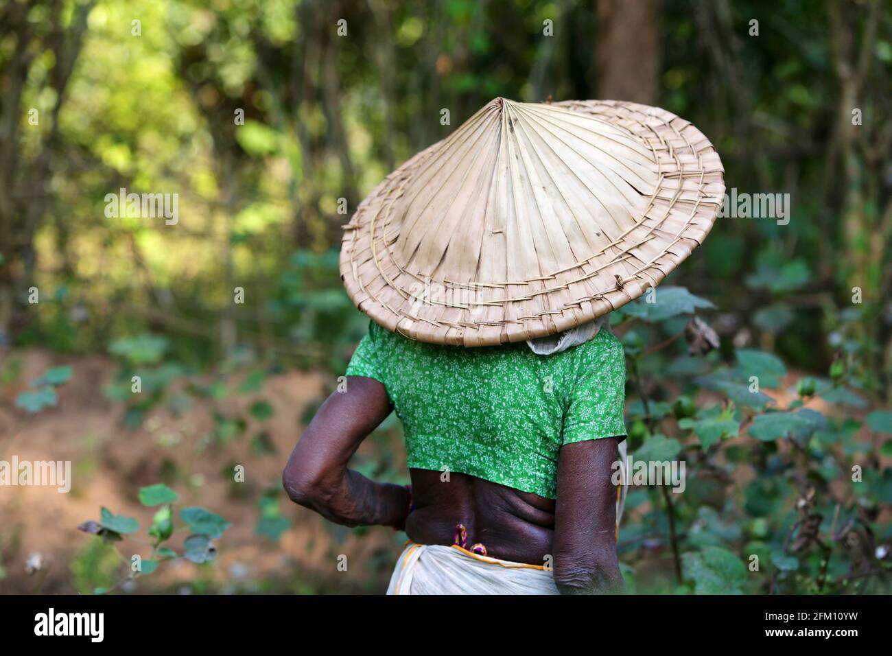 Tribal woman wearing coolie hat at Jakkaraguda Village in Srikakulam ...