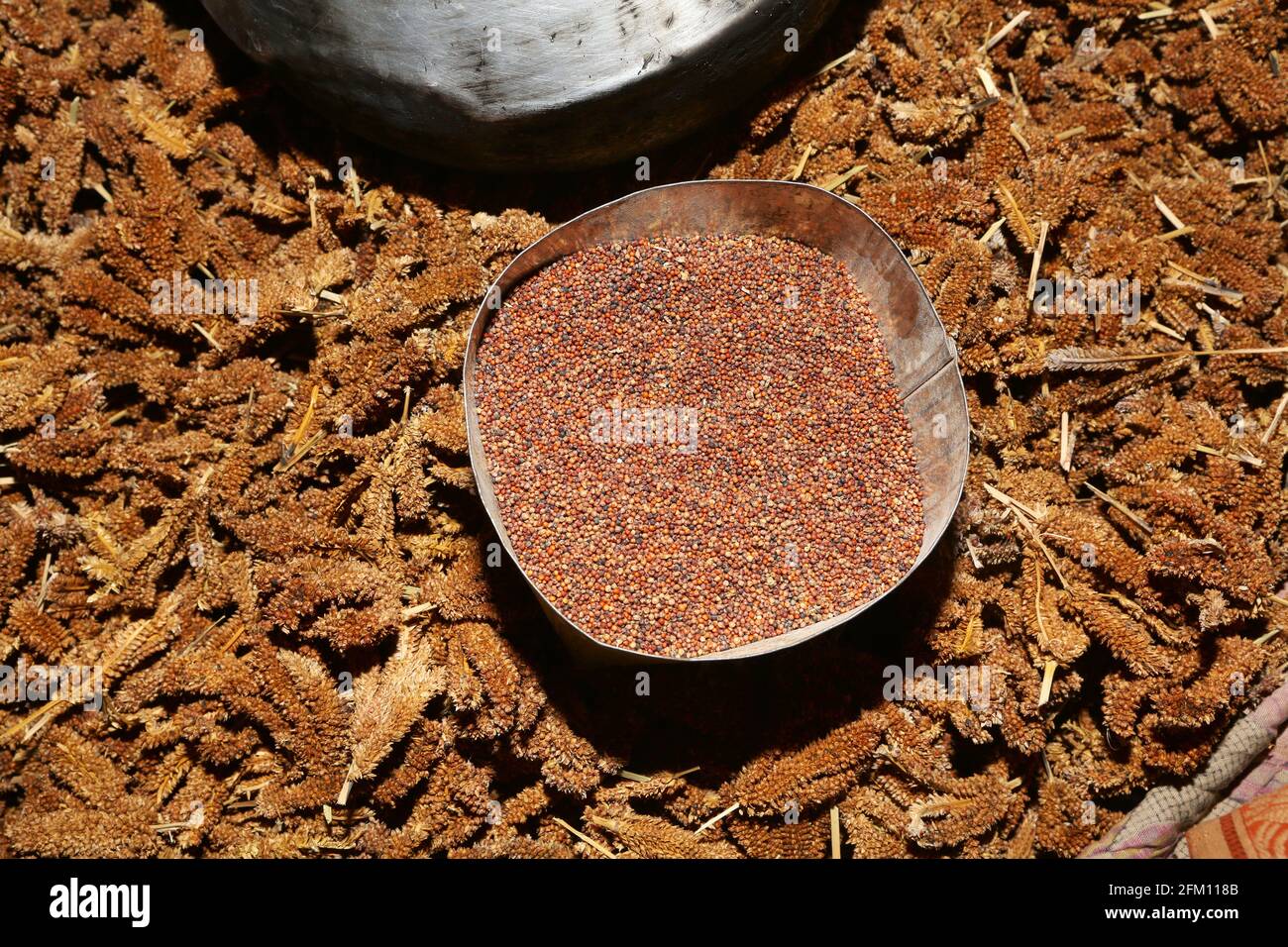 Gadaba tribal traditional food Nachani ( Finger Millet, Ragi Paste ...