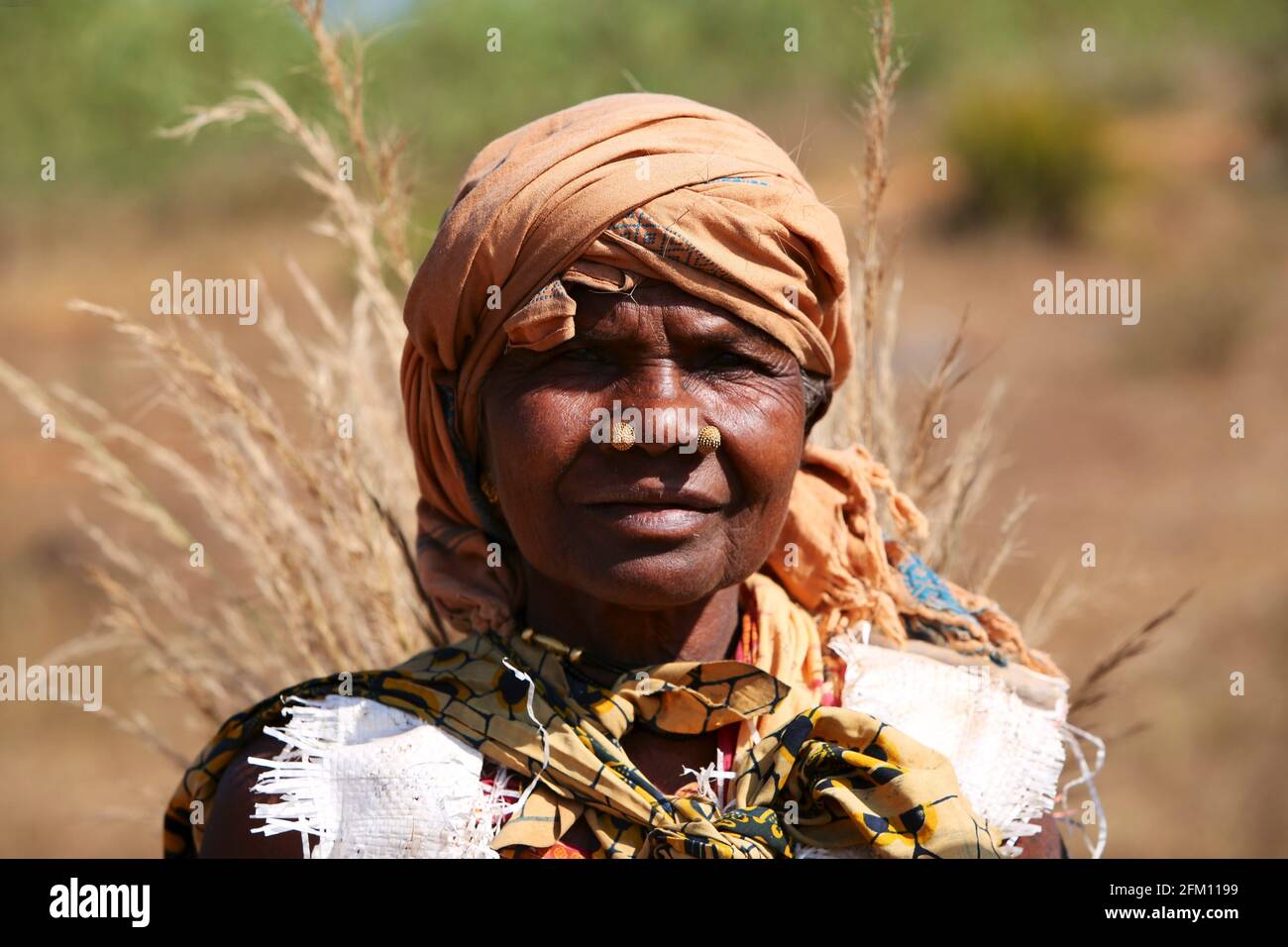 Indian grass hi-res stock photography and images - Alamy