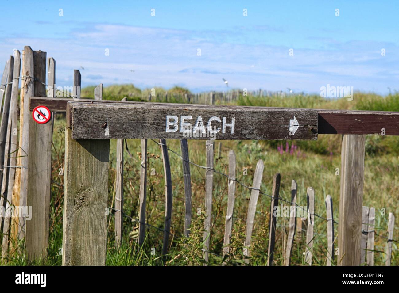Wooden signpost with direction to beach Stock Photo - Alamy