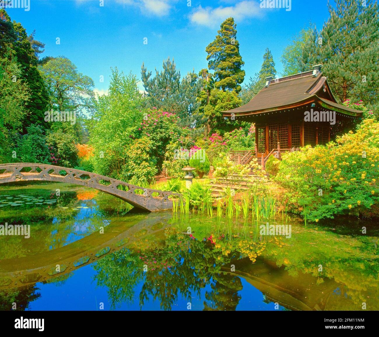 Tatton park japanese spring hi-res stock photography and images - Alamy