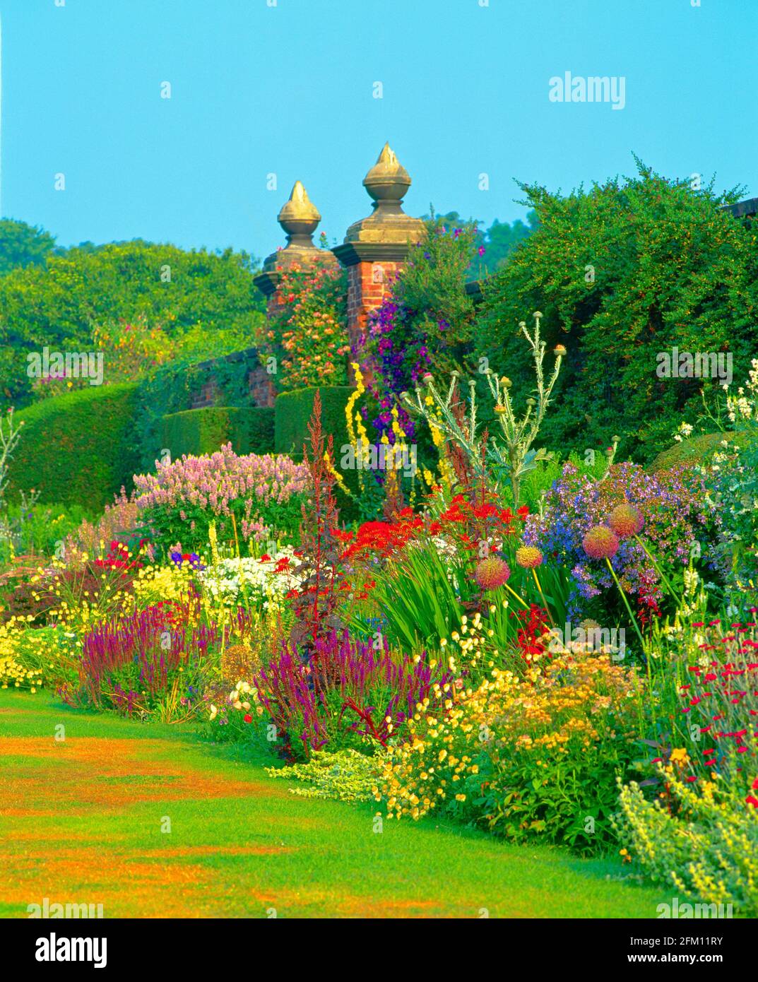 Cheshire hall plantation hi-res stock photography and images - Alamy