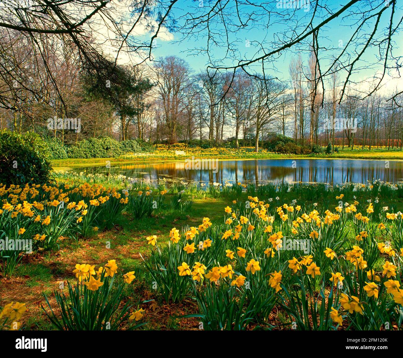 Anew england hi-res stock photography and images - Alamy